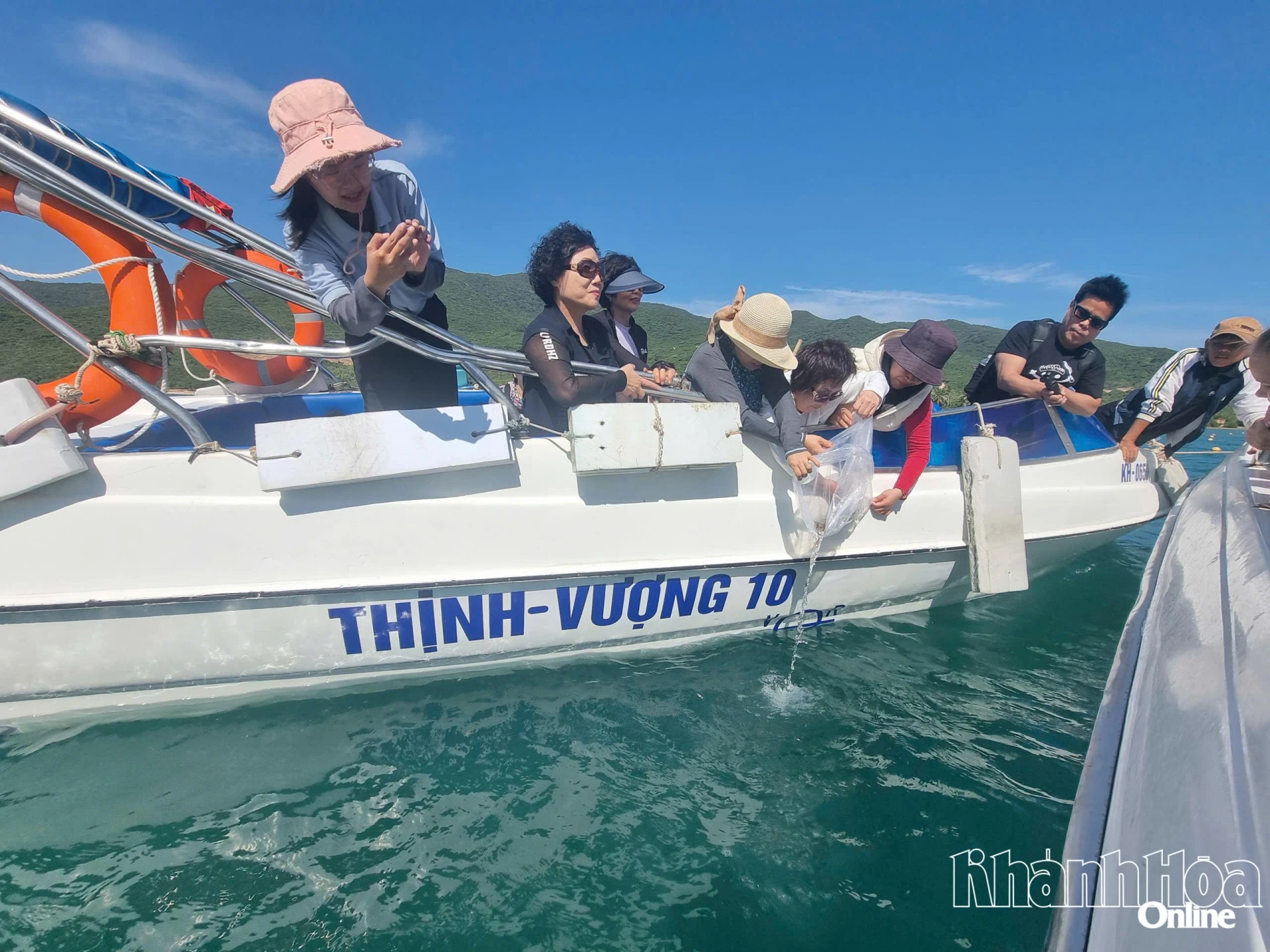 6,000 sea bass offspring released into wild on Nha Trang Bay - Báo ...