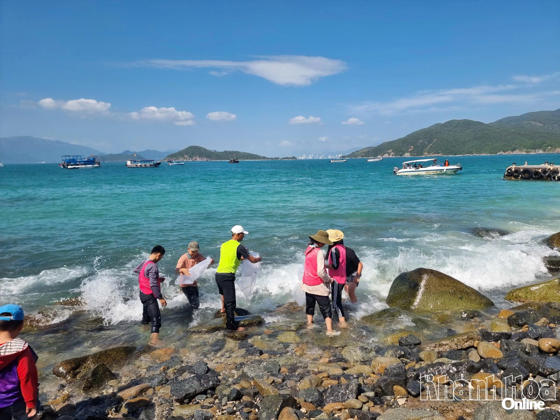 6,000 sea bass offspring released into wild on Nha Trang Bay - Báo ...