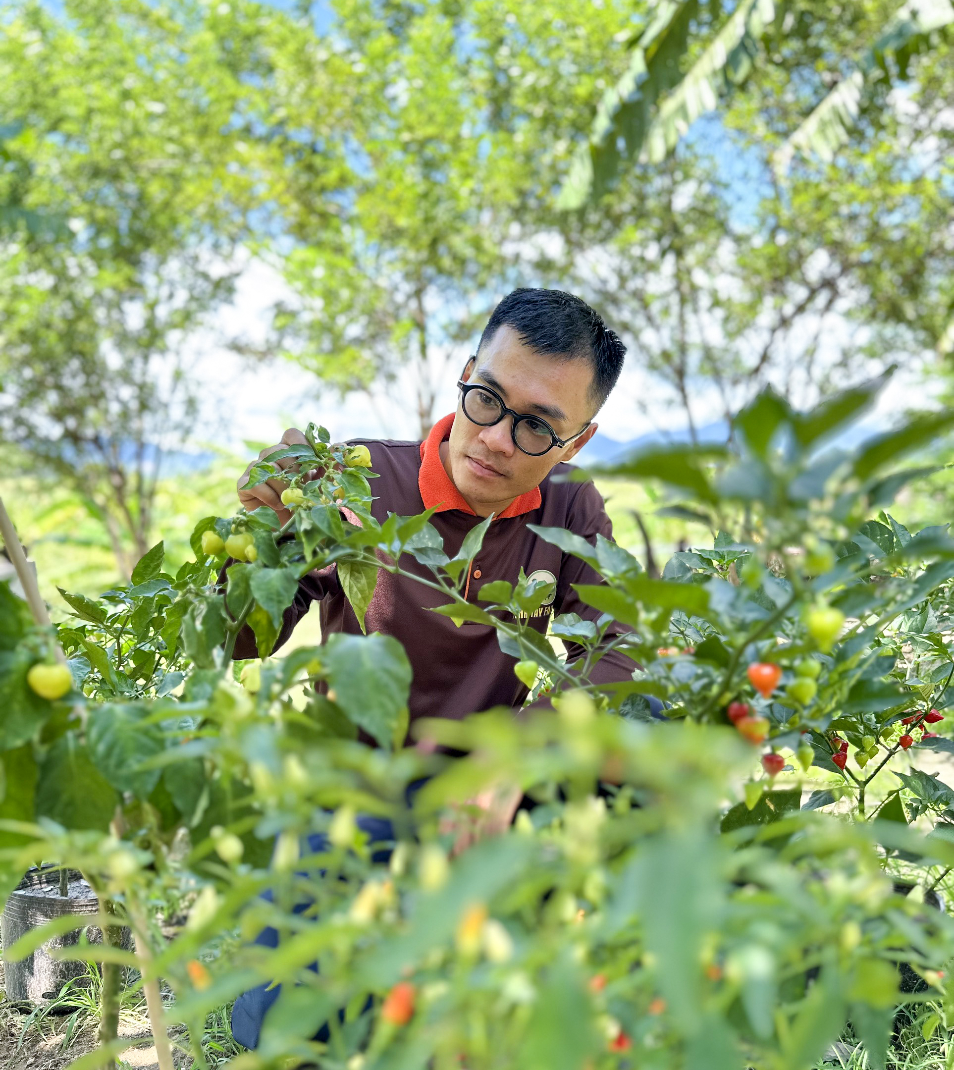Phát huy tiềm năng và bản sắc Ninh Tây