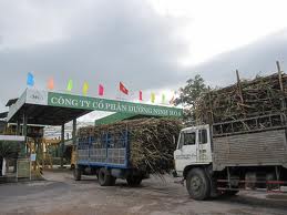 10 Vietnamese companies listed “Best Under a Billion” - Báo Khánh Hòa ...